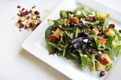 Organic Baby Spring Mix Salad with Apples, Cranberries, Goat Cheese ...